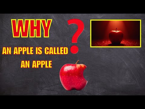 Why Is an Apple Called an Apple? 🍏 | The Secret Story You Didn’t Know!