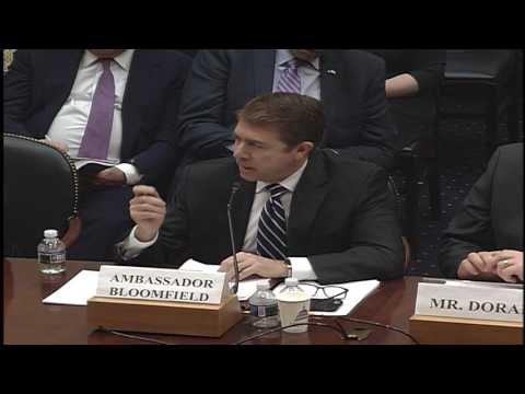3.9.17. HFAC Member Rep. Thomas R. Suozzi Remarks on Russian Interference in US Elections