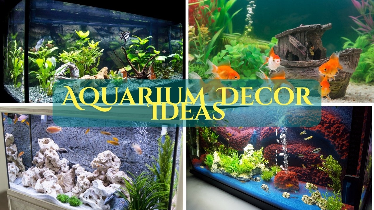 101 Cool Aquarium Decorations Ideas 2026 – Fish Tank Decor, Ornaments & Theme Setups