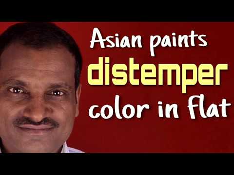 Asian Distemper - Latest Price, Dealers & Retailers in India