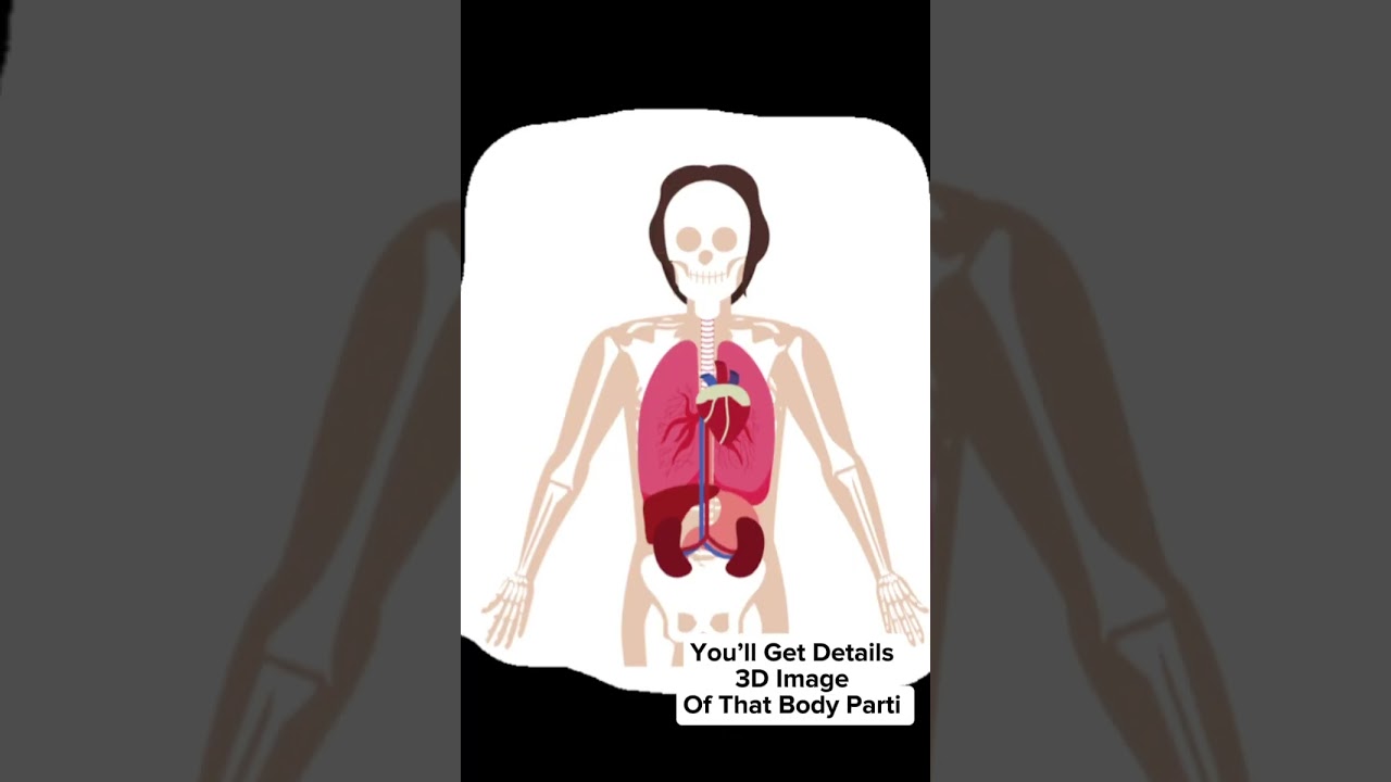 Anatomy & Physiology Study Stickers | Digital Nursing Planners for Smart Notes|