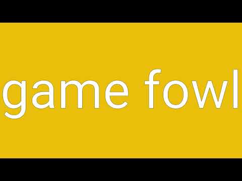 Game Fowl Definition & Meaning