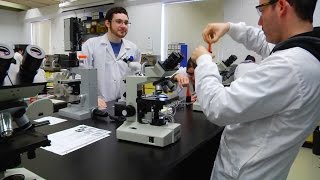 Technologie d'analyses biomédicales (140.C0) - Inforoute FPT