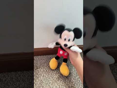 It's the Mickey mouse trap House