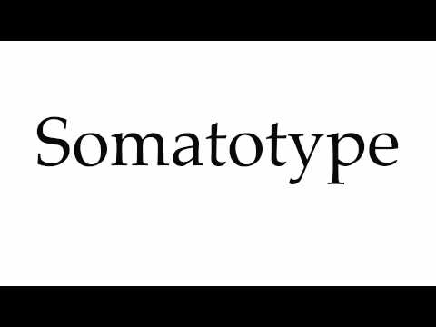 How to Pronounce Somatotype