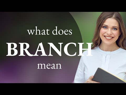 Branch • what is BRANCH definition