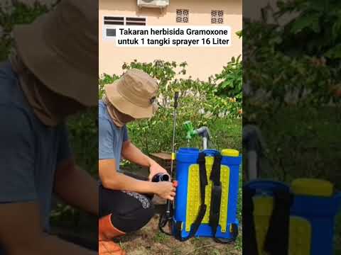 Takaran yang tepat herbisida Gramoxone untuk 1 tangki sprayer 16 Liter #music #fyp