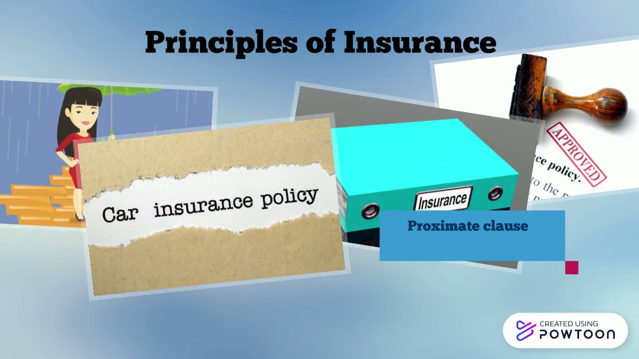 Principles of Insurance
