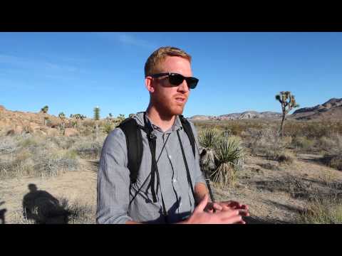 Long Live Film - (Teaser)