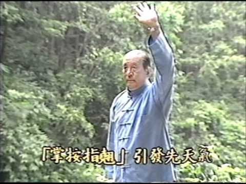 Waitankung YouTube – Chinese Waitankung