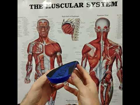 Orthotic insoles for flat feet
