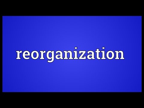 Reorganization Meaning