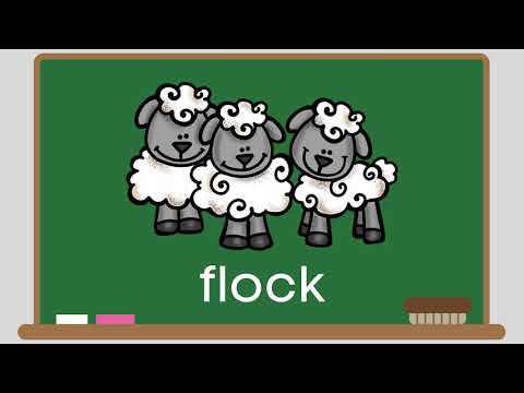 Word Family Ock, Phonics, Phonograms, Reading, Virtual School, Online Learning, Learn to Read, KIDS!