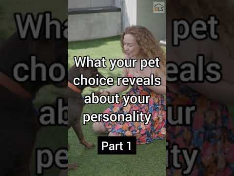 What Your Choice Of Pets REVEAL About YOUR PERSONALITY? (PART 1) #shorts