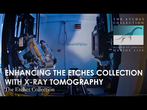 X-RAY TOMOGRAPHY at The Etches Collection