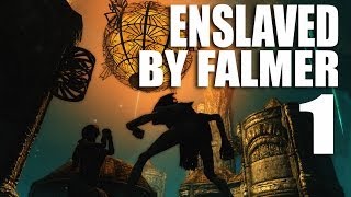 Enslaved by Falmer A Death Alternative mod at Skyrim Nexus - Mods and ...