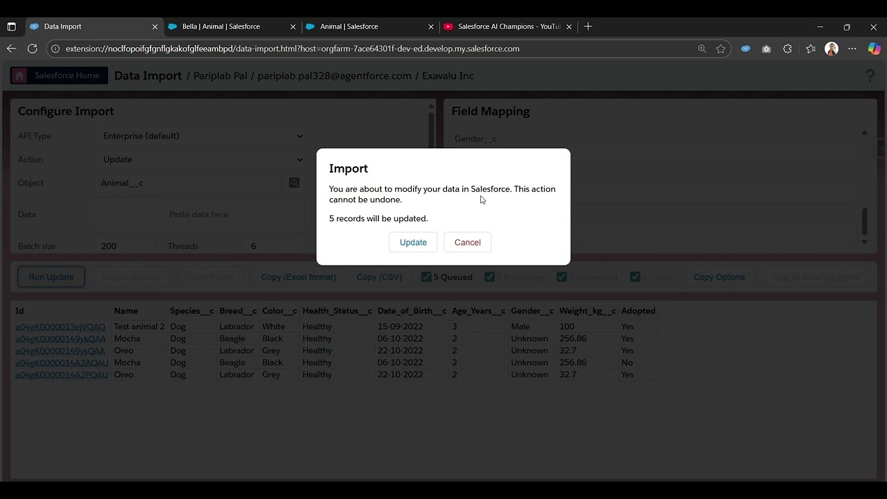 OOTB14: HOW TO EXPORT AND UPDATE SALESFORCE RECORDS USING INSPECTOR RELOADED