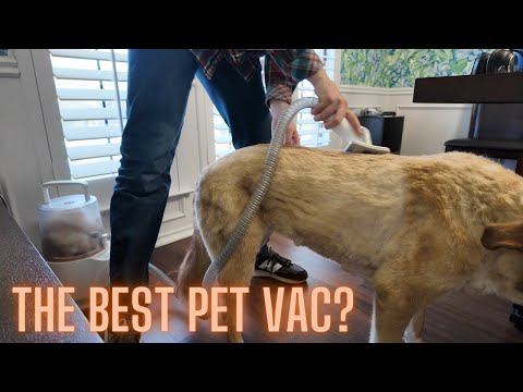 The Best Pet Grooming Kit & Vacuum Ever? eufy N930 Grooming Kit - UNBOXING & REVIEW