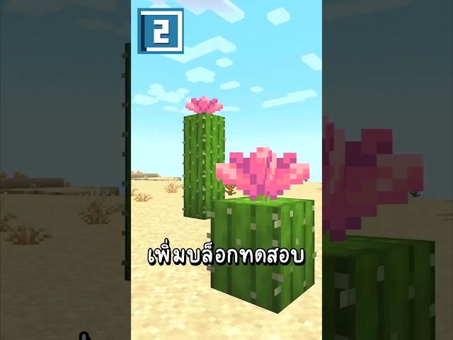 Minecraft Shorts | สรุปอัพเดทใหม่ Spring to Life!! #minecraft #shorts ...