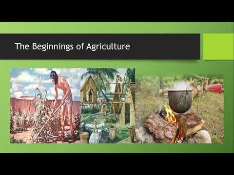 A History of Cooking: The Fertile Crescent