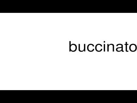 How to pronounce buccinator