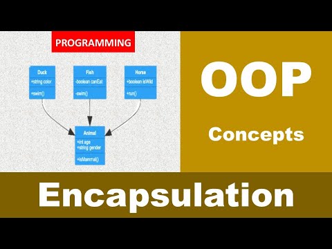 Encapsulation in OOP | Importance of Encapsulation | Java Encapsulation | Encapsulation Tutorial