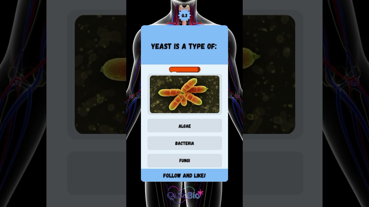 Microorganism Quiz 🧫 | Can You Answer All 5? #biologychallenge #generalsciencequiz #trivia #quiz
