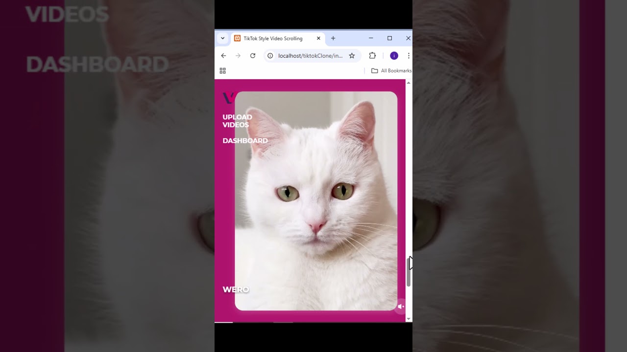 How to build a Tiktok clone, using HTML CSS, JS and PHP