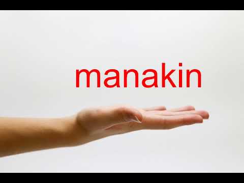 How to Pronounce manakin - American English