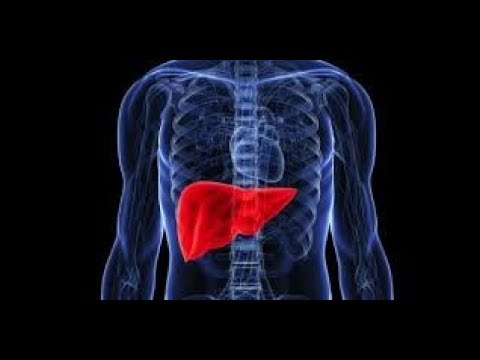 Alcohol a big cause of liver disease- Morning express