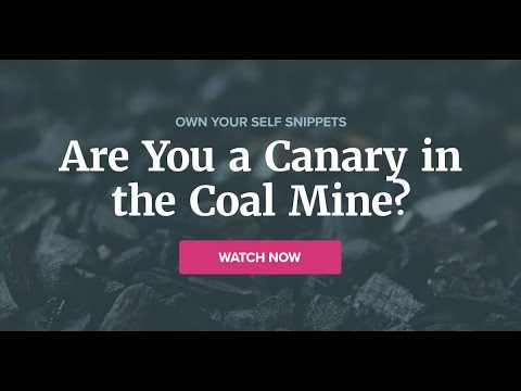 Are You a Canary in the Coal Mine - Own Your Self Snippets