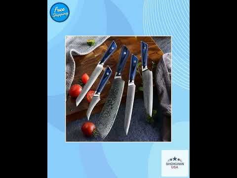 Azure Japanese VG10 Damascus Chef Knife Set with G10 Handle and Sheath
