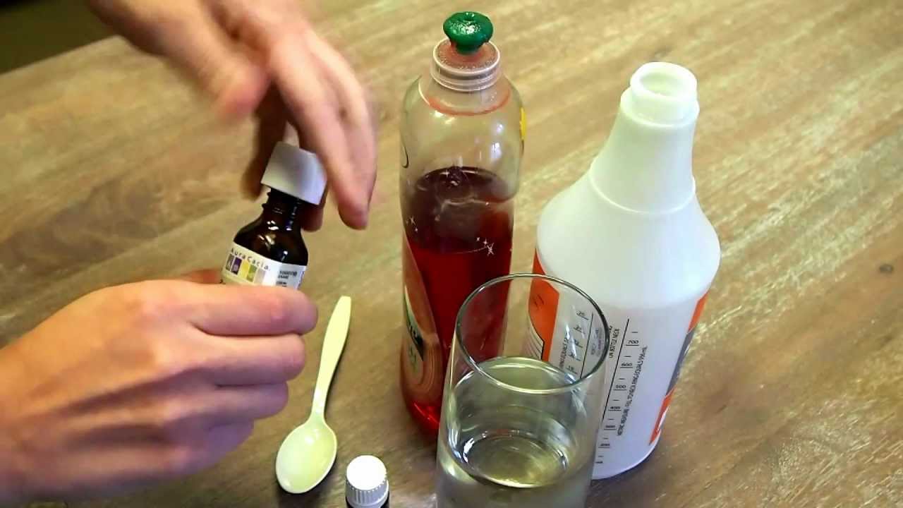 Get Rid of Spiders: How to Make Natural Spider Repellent