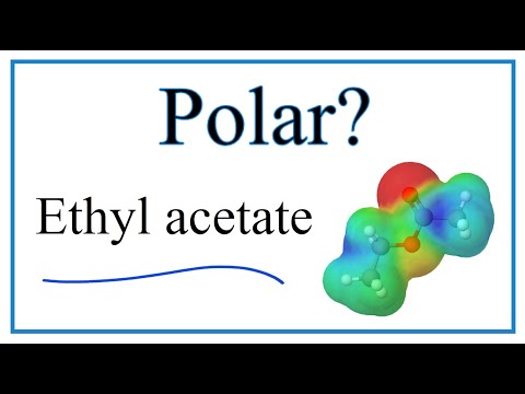Is Ethyl acetate (C4H8O2) Polar or Non-Polar