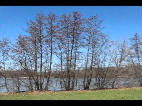 Let's Visit Fuller and Gallup Parks (Ann Arbor, MI)