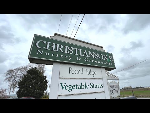 Christianson's Nursery and Greenhouse Tour! :: Skagit Valley Tulip Festival!