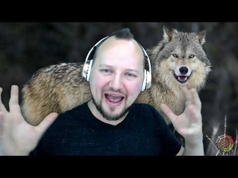 What does the Wolf mean? | Spirit Animal | Totem | Dream Symbolism