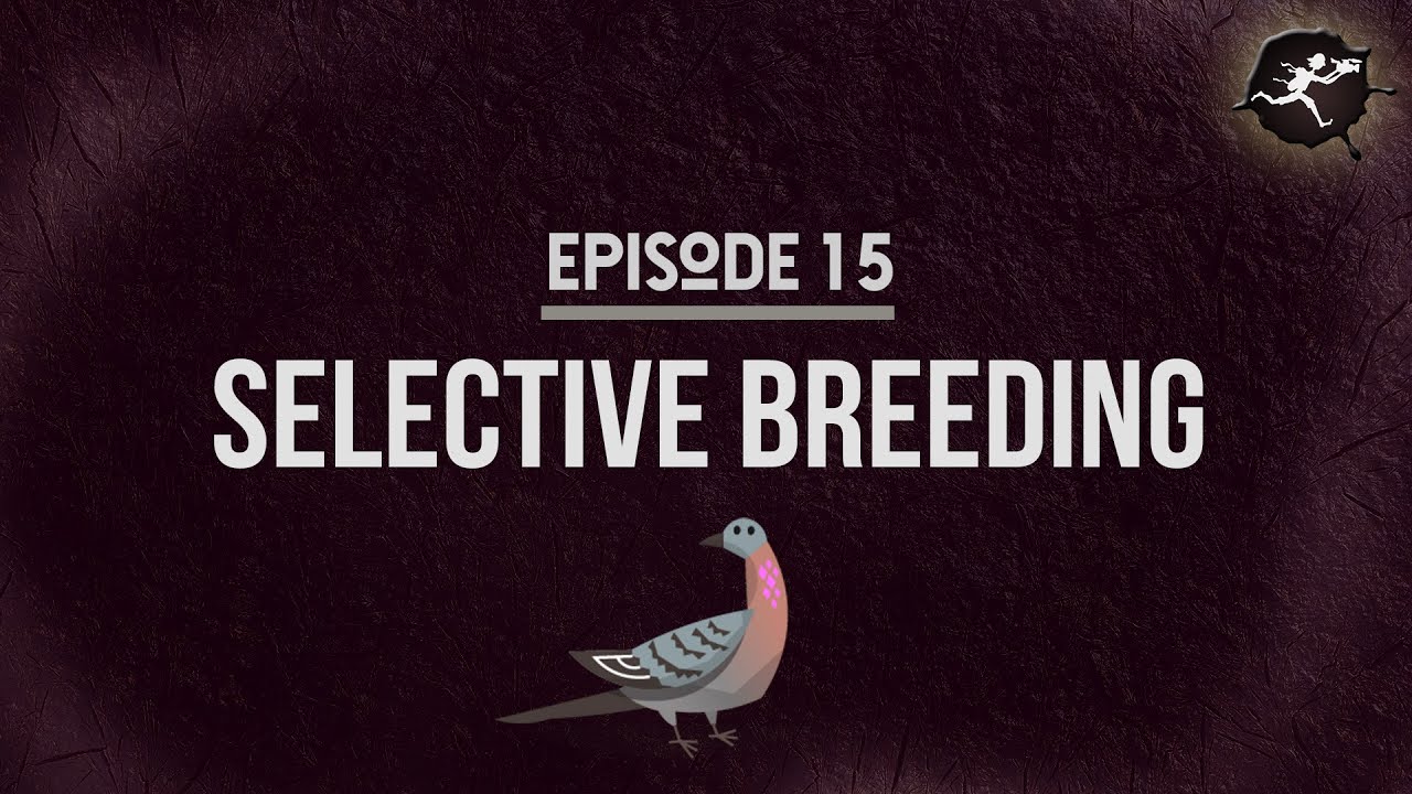 Selective Breeding: UntamedScience #15