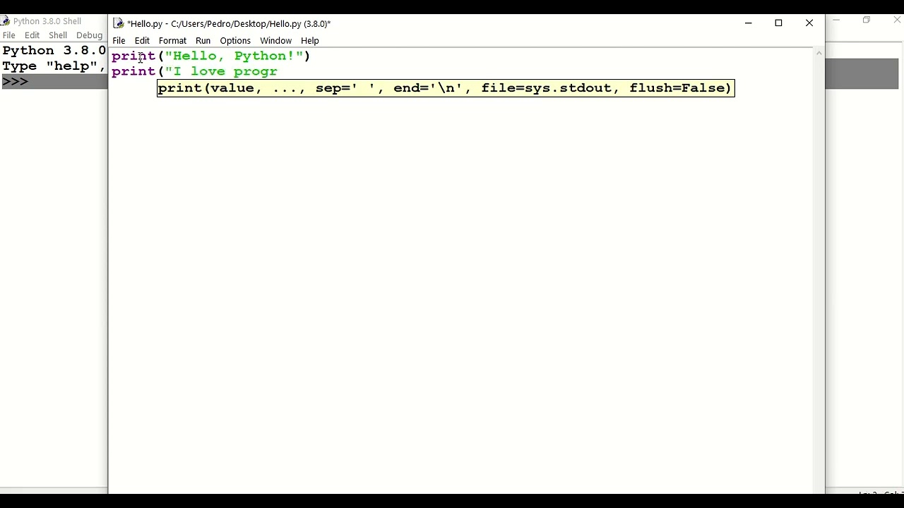 Using IDLE to create a Python script