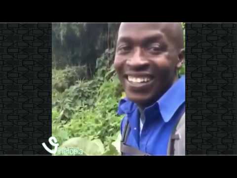 Steam Community :: Video :: Hi Okay Vine Compilation Okaymovement Hi Ok