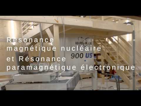 Plateformes en biologie et santé de la Métropole lilloise