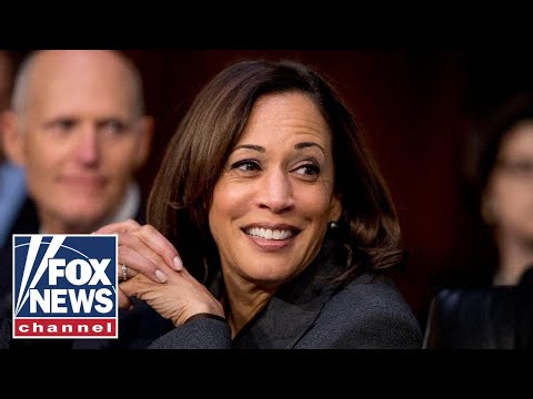 Kamala Harris ripped over 'missed opportunity' at border