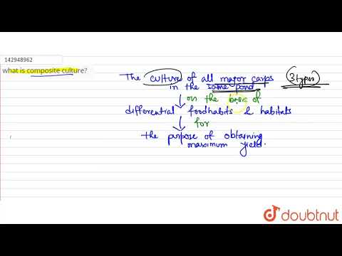 what is composite culture?