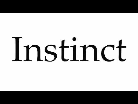 How to Pronounce Instinct