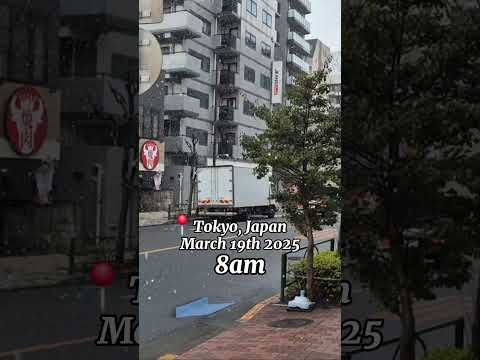 Snow in Tokyo Japan, mid March and very very cold #now #japan #tokyo #snow #weather