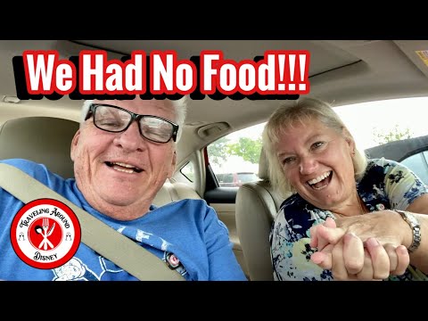 Healthy ALDI Grocery Haul Post-Disney Cruise (Budget)!
