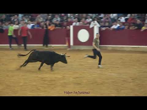 Zaragoza – Mañana vaquillera 11/10/2023 – Nº504/Mogona – “Hnos. Oliva ...