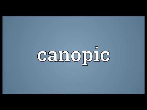 Canopic Meaning