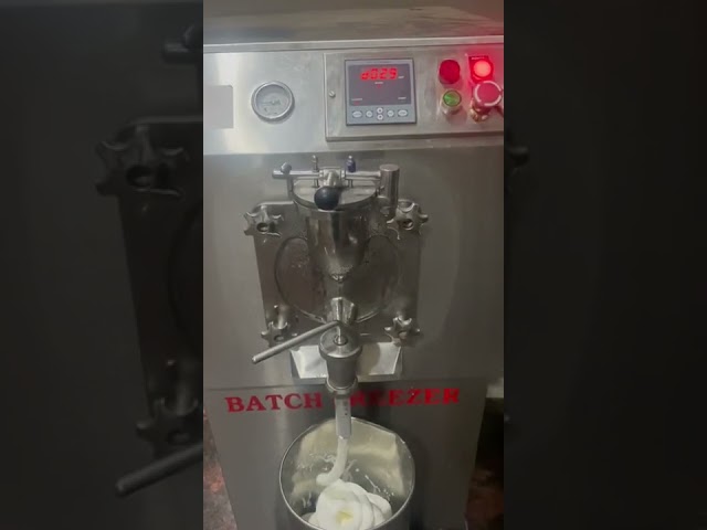 Ice Cream Batch Freezer - 10 Ltr Ice Cream Batch Freezer Manufacturer ...