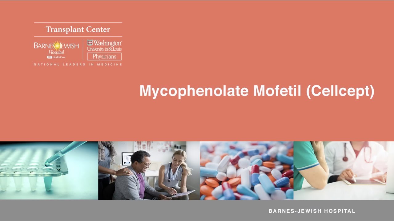 Mycophenolate Mofetil (Cellcept) – Prescription Medication Instructions for Post-Transplant Patients